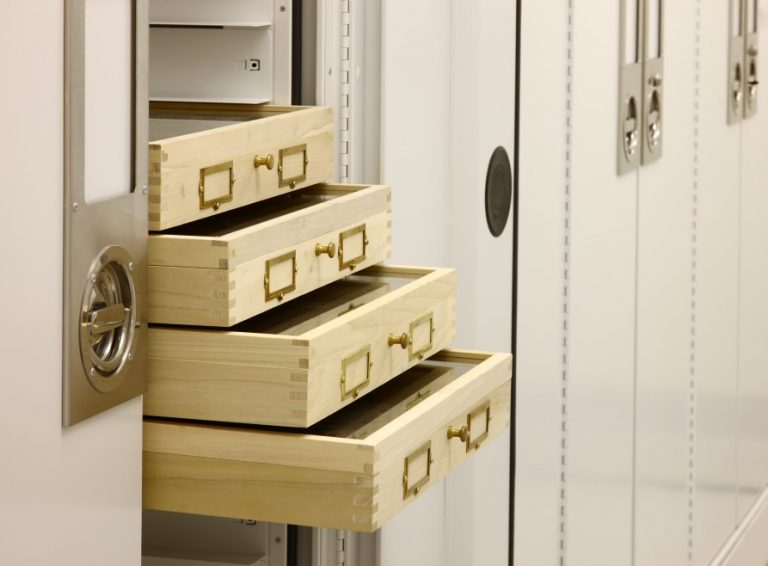 Entomology Cabinets | Delta Designs