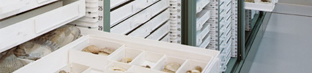 Geology Storage Cabinets - Durable Storage for Geological Specimens