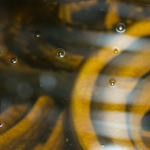 Wet Storage | Delta Designs