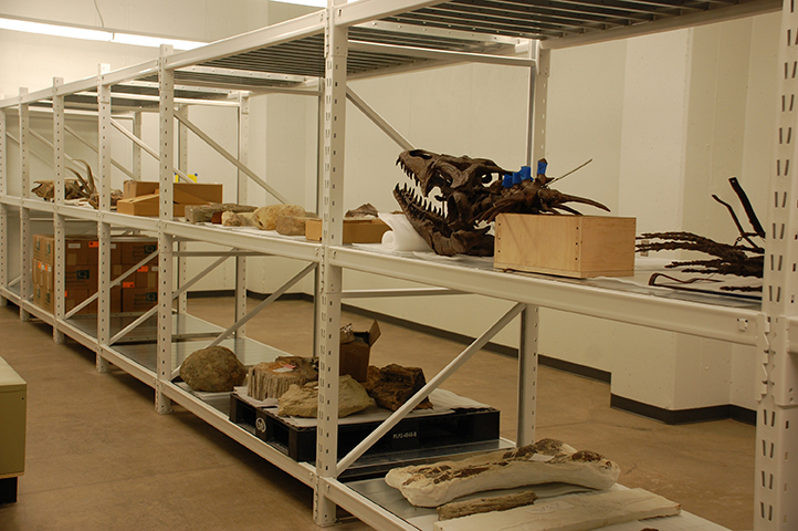 Geology Storage Cabinets - Durable Storage for Geological Specimens