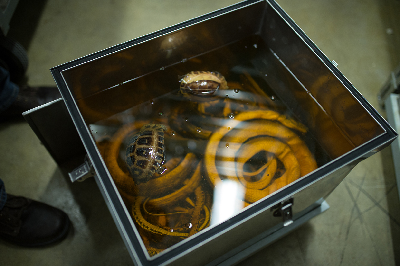 Wet Storage | Delta Designs