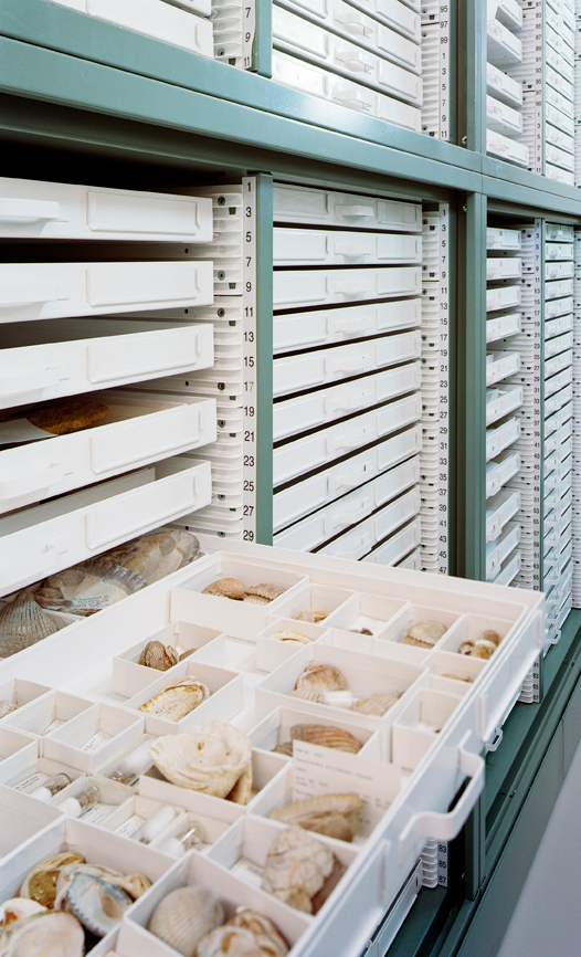 Geology Storage Cabinets - Durable Storage for Geological Specimens