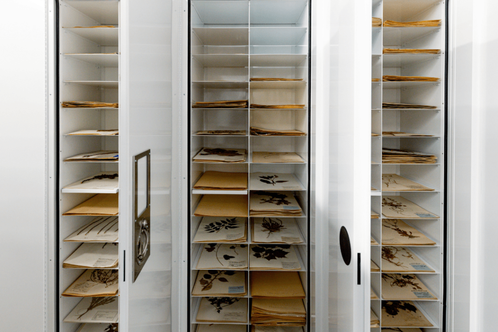 Herbarium Cabinets | Delta Designs