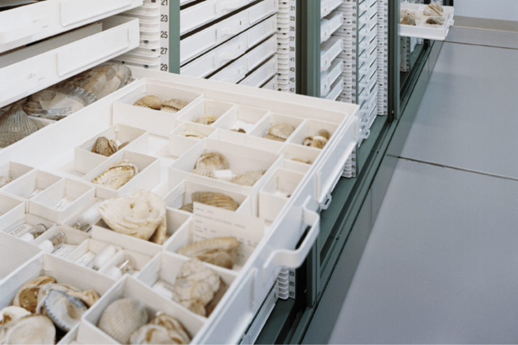 Geology Storage Cabinets - Durable Storage for Geological Specimens