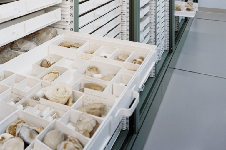 Geology Storage Cabinets - Durable Storage for Geological Specimens